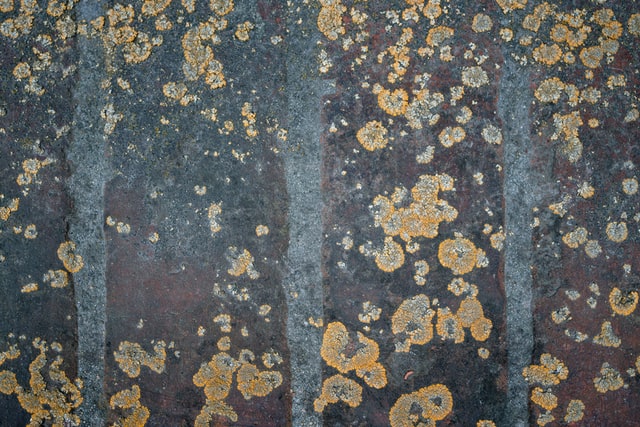 Acerca del moho y su peso en la ventilación - Suministros Industriales